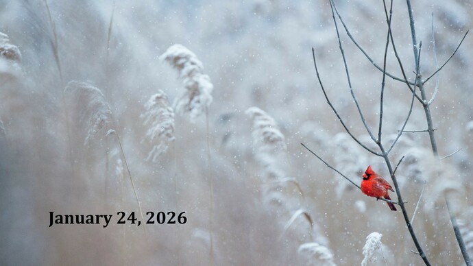 Sermons | Woodbury United Methodist